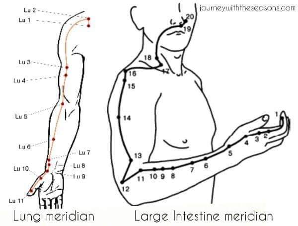 Blog - Trackways for Change